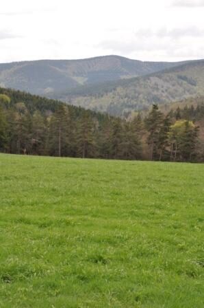 FORET DE MERCOIRE - Office de Tourisme de Langogne